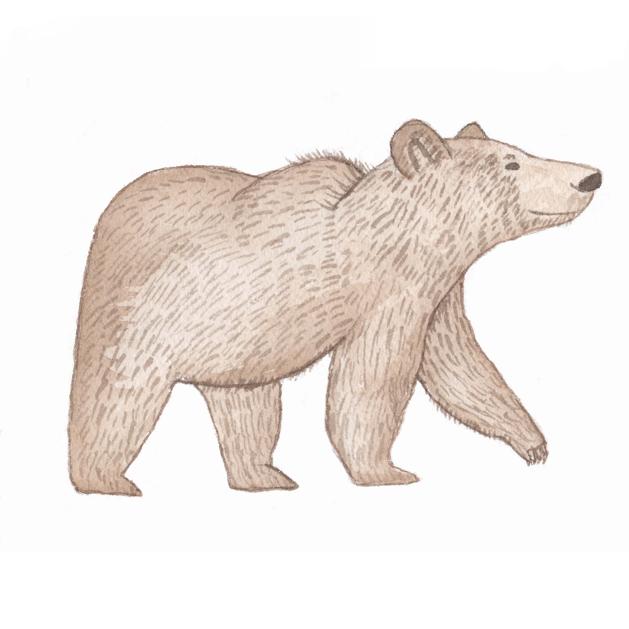 Animals – The Frey Life